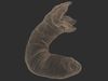Dune Sandworm -Shai-Hulud- 3D model 3D model rigged | CGTrader