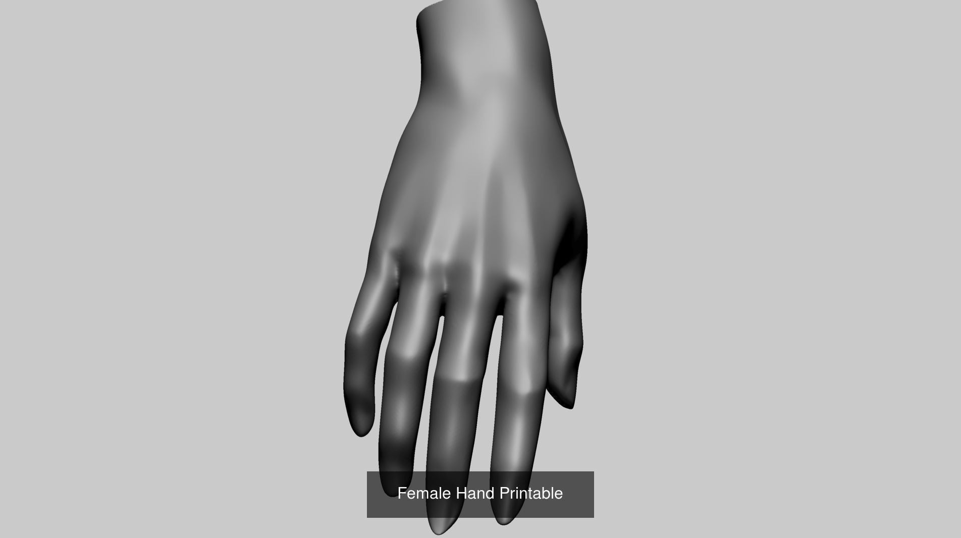Hand Models D 3D Model Collection 3D printable | CGTrader