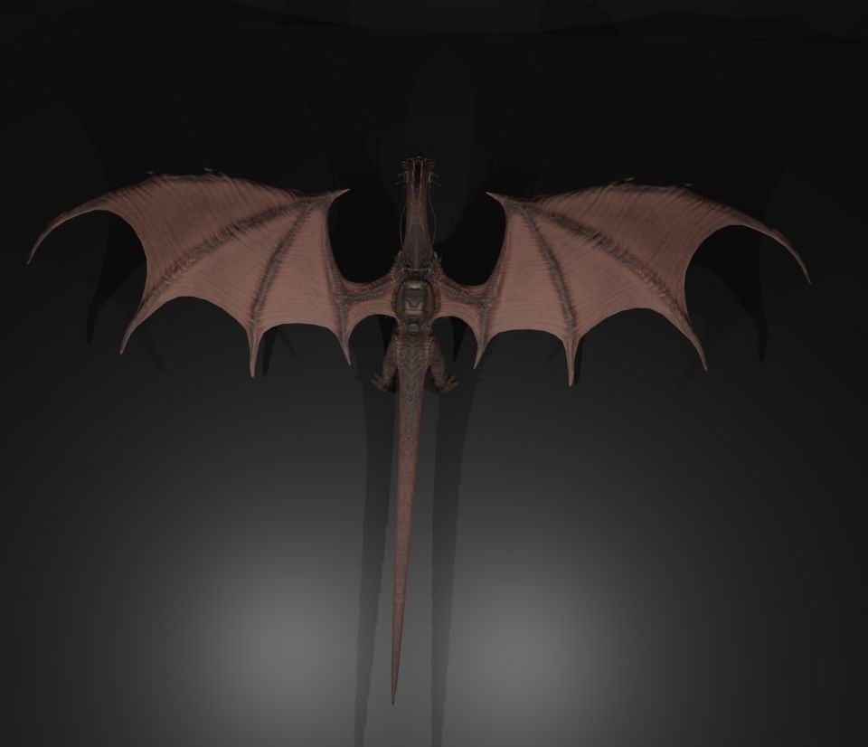 fire dragon real 3D model animated rigged | CGTrader