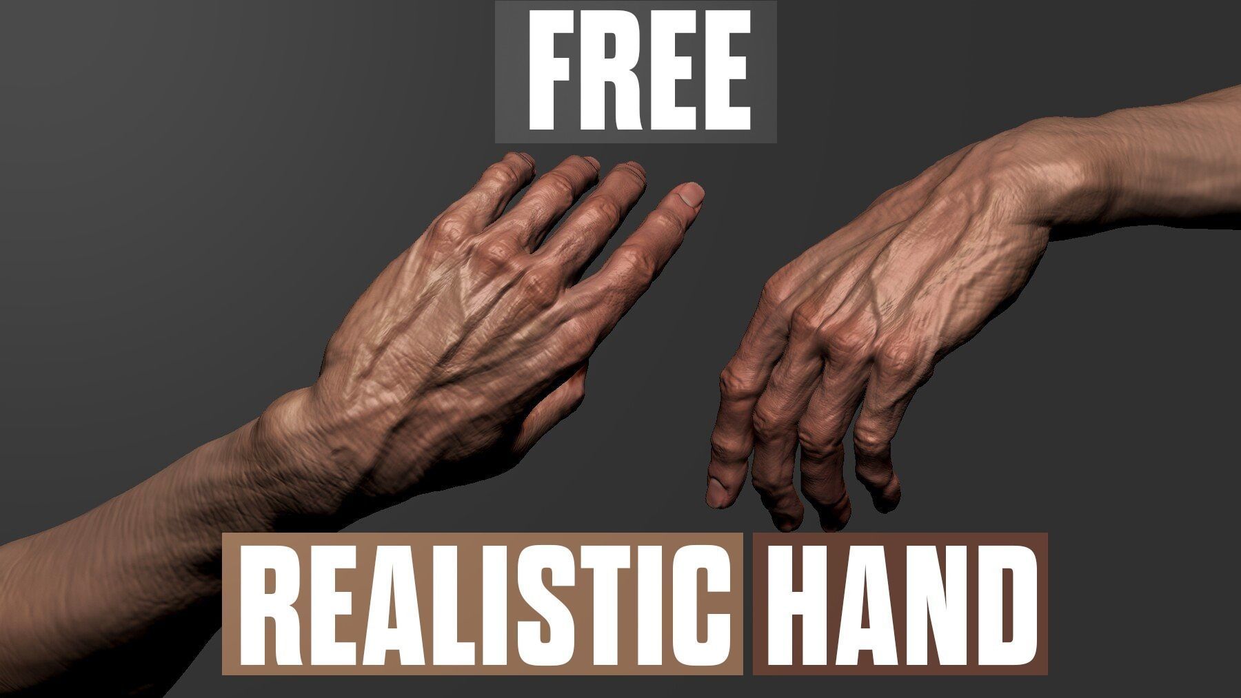 FREE REALISTIC HAND free 3D model | CGTrader