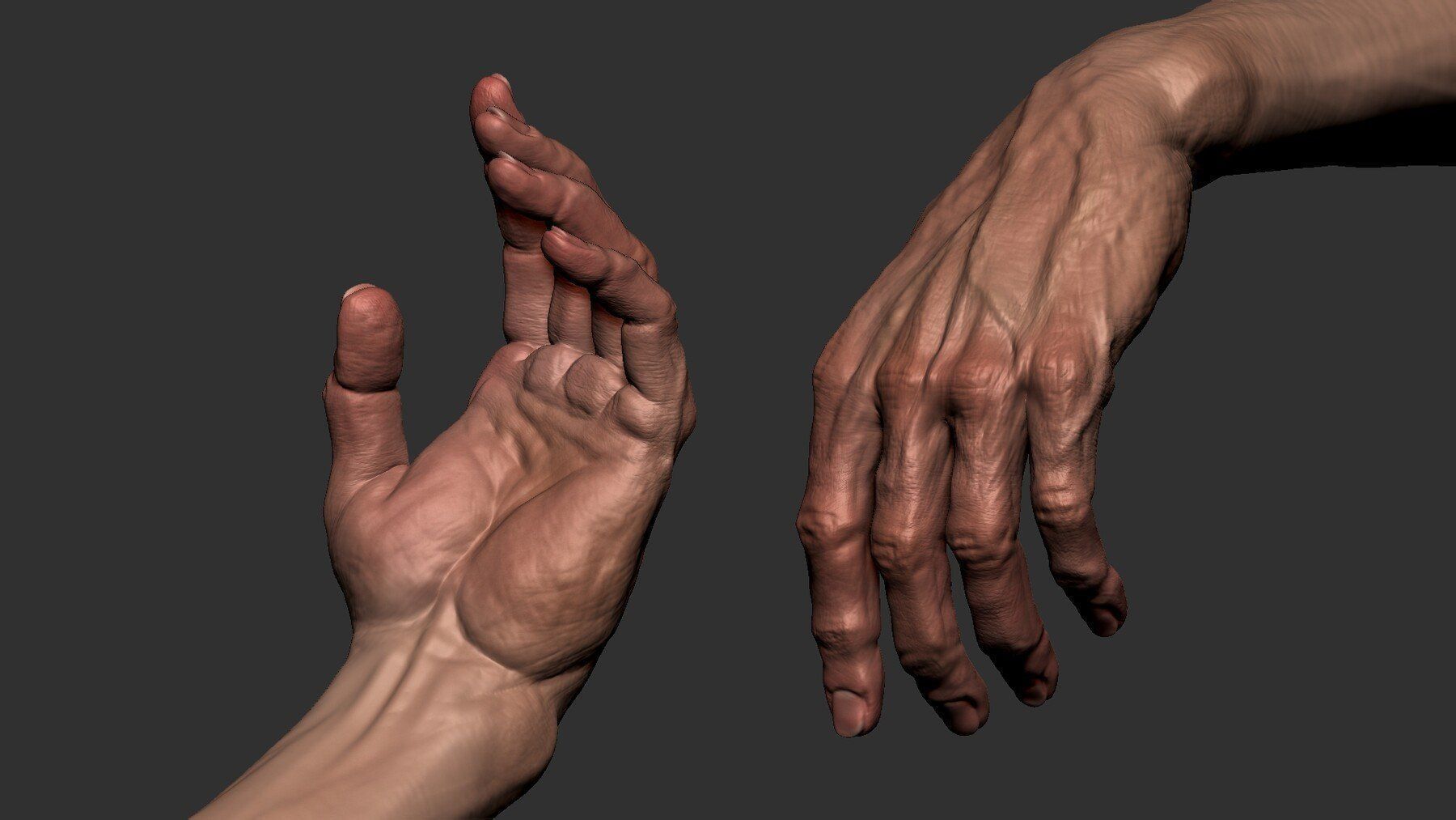 FREE REALISTIC HAND free 3D model | CGTrader