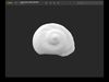 Shell of Lewis Moon Snail 3D model 3D printable | CGTrader