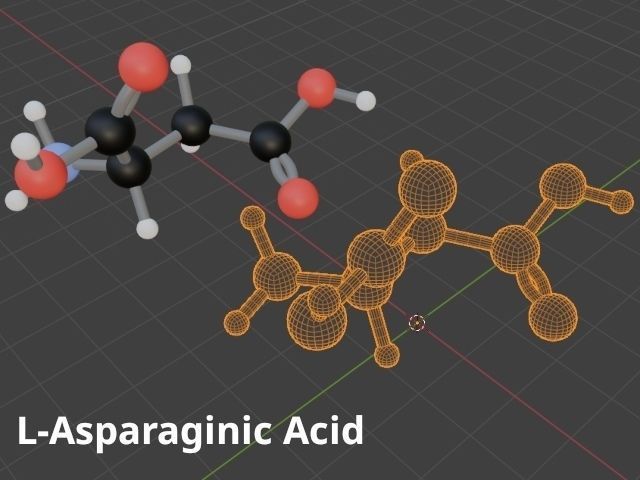 3D molecular model of amino acids 3D model rigged | CGTrader