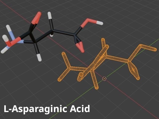 3D molecular model of amino acids 3D model rigged | CGTrader