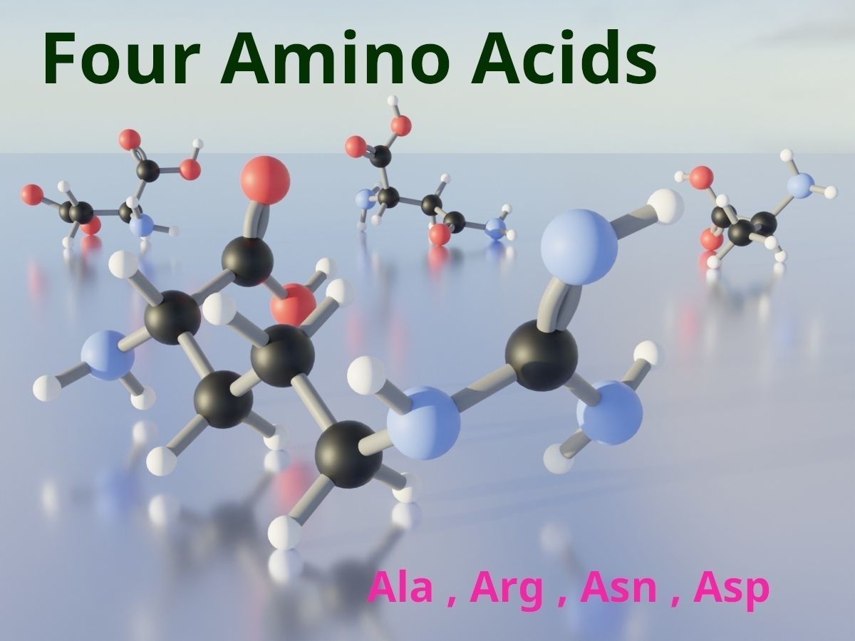 3D molecular model of amino acids 3D model rigged | CGTrader