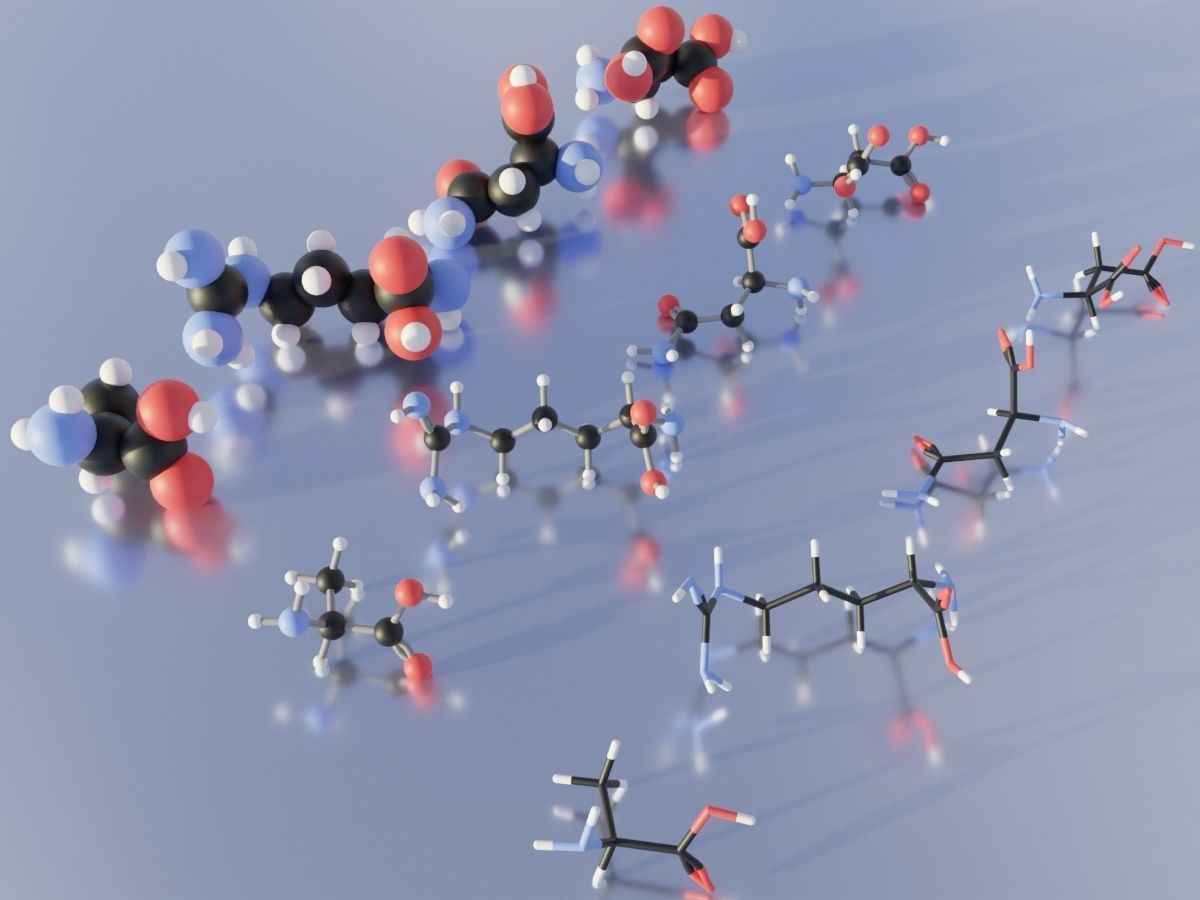 3D molecular model of amino acids 3D model rigged | CGTrader