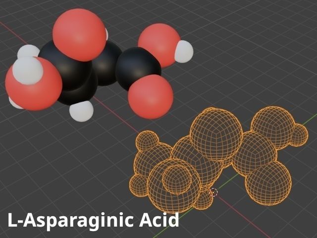 3D molecular model of amino acids 3D model rigged | CGTrader