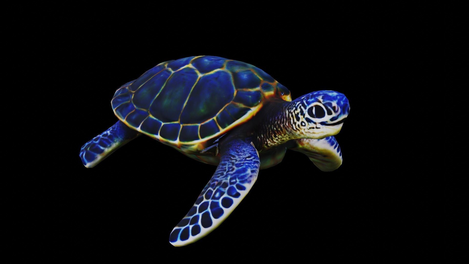 3D model Sea Turtle low poly VR / AR / low-poly | CGTrader