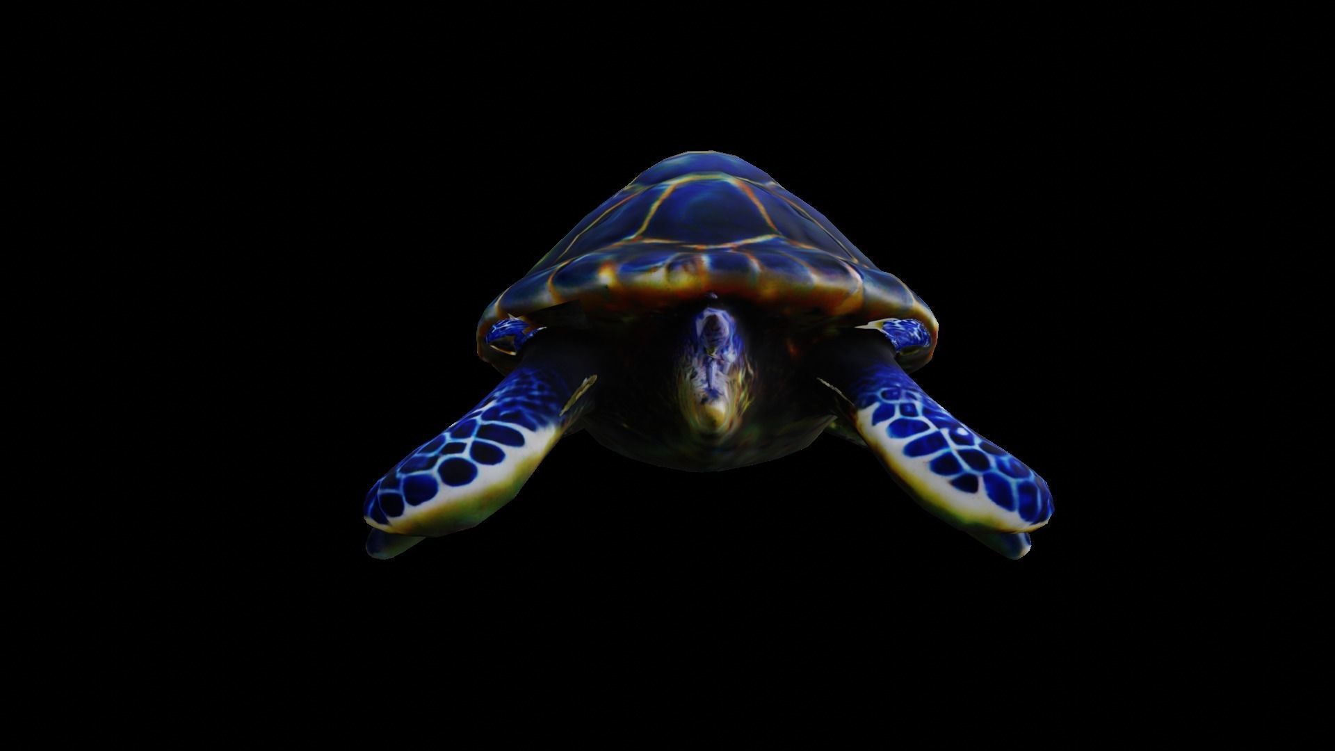 3D model Sea Turtle low poly VR / AR / low-poly | CGTrader