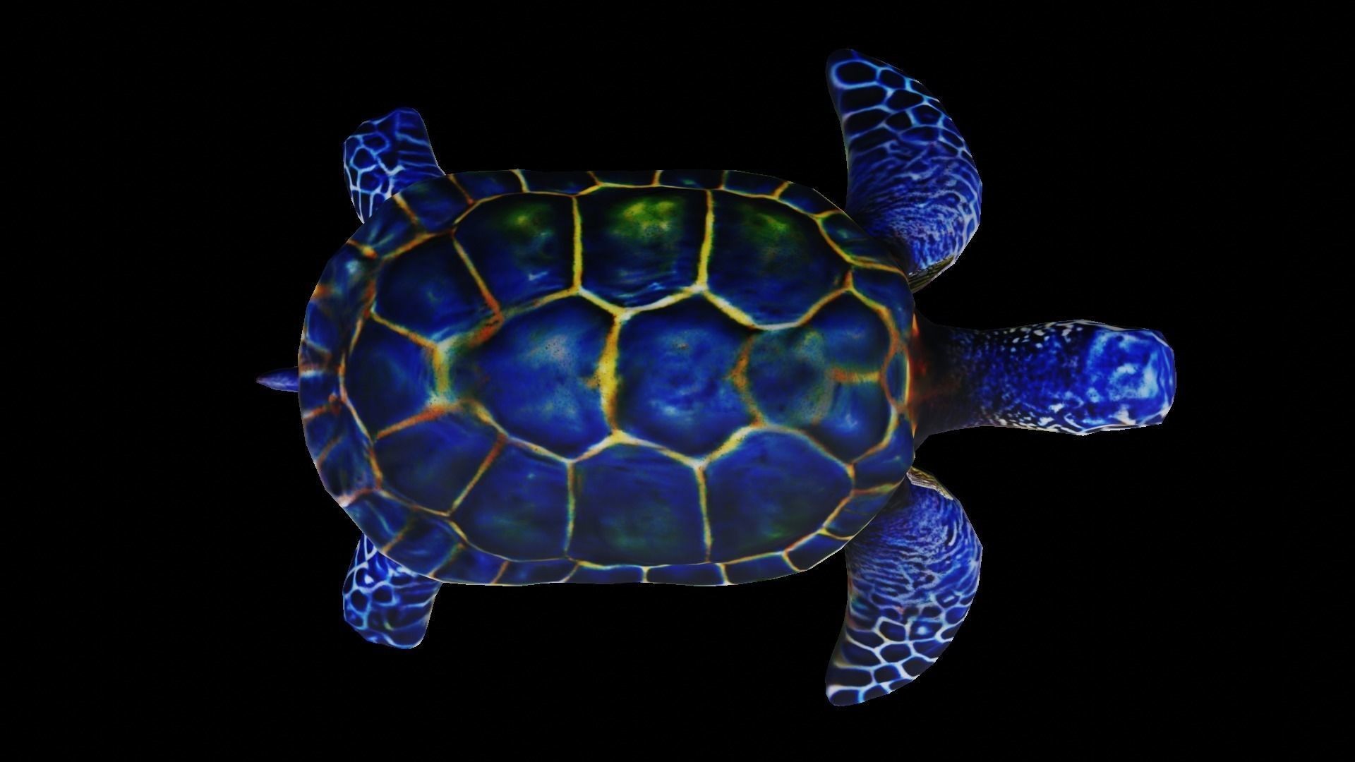 3D model Sea Turtle low poly VR / AR / low-poly | CGTrader