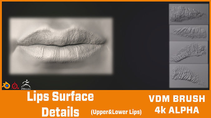 25 Surface Details Alpha For Lips 3D model | CGTrader