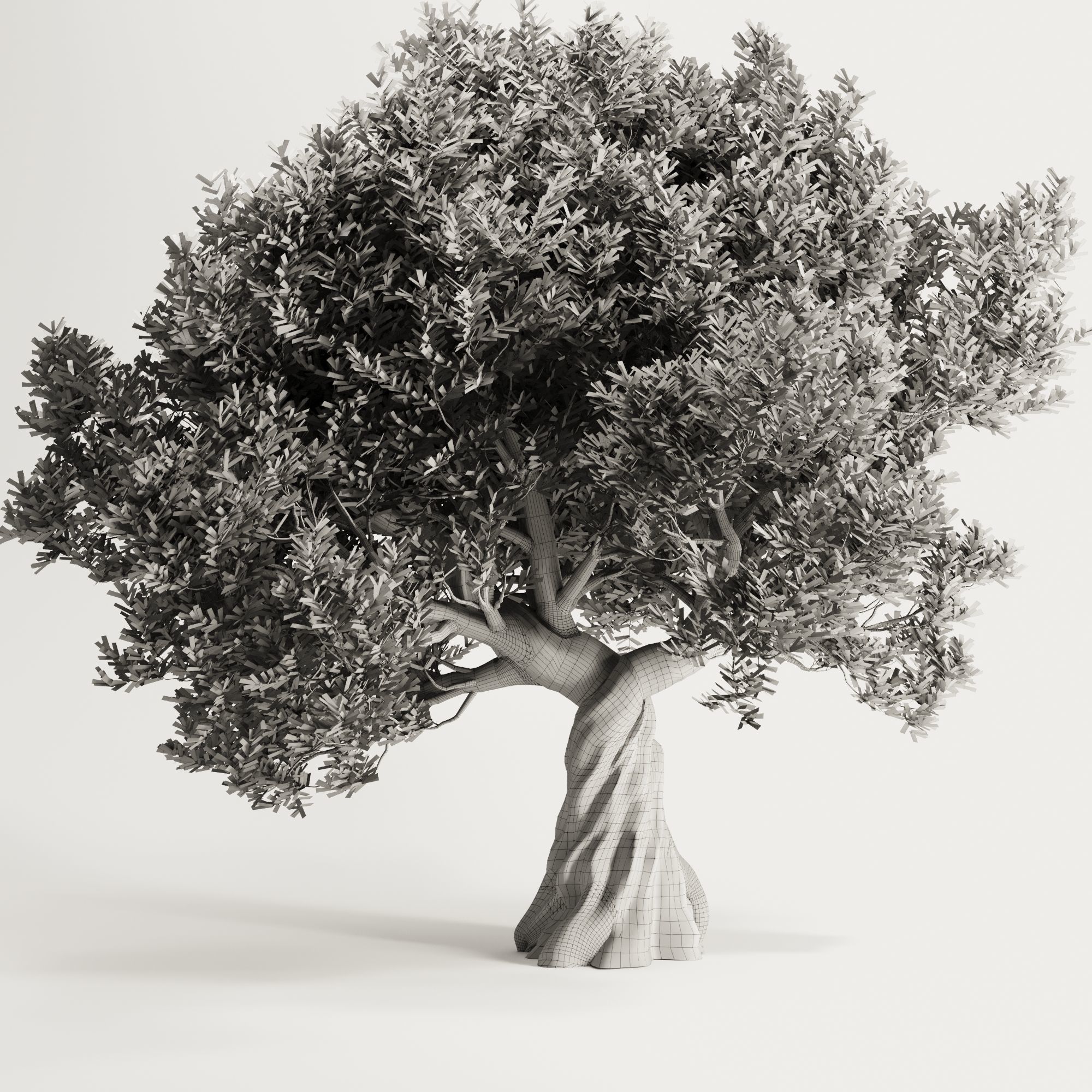 Olive Tree Set10 3D model | CGTrader