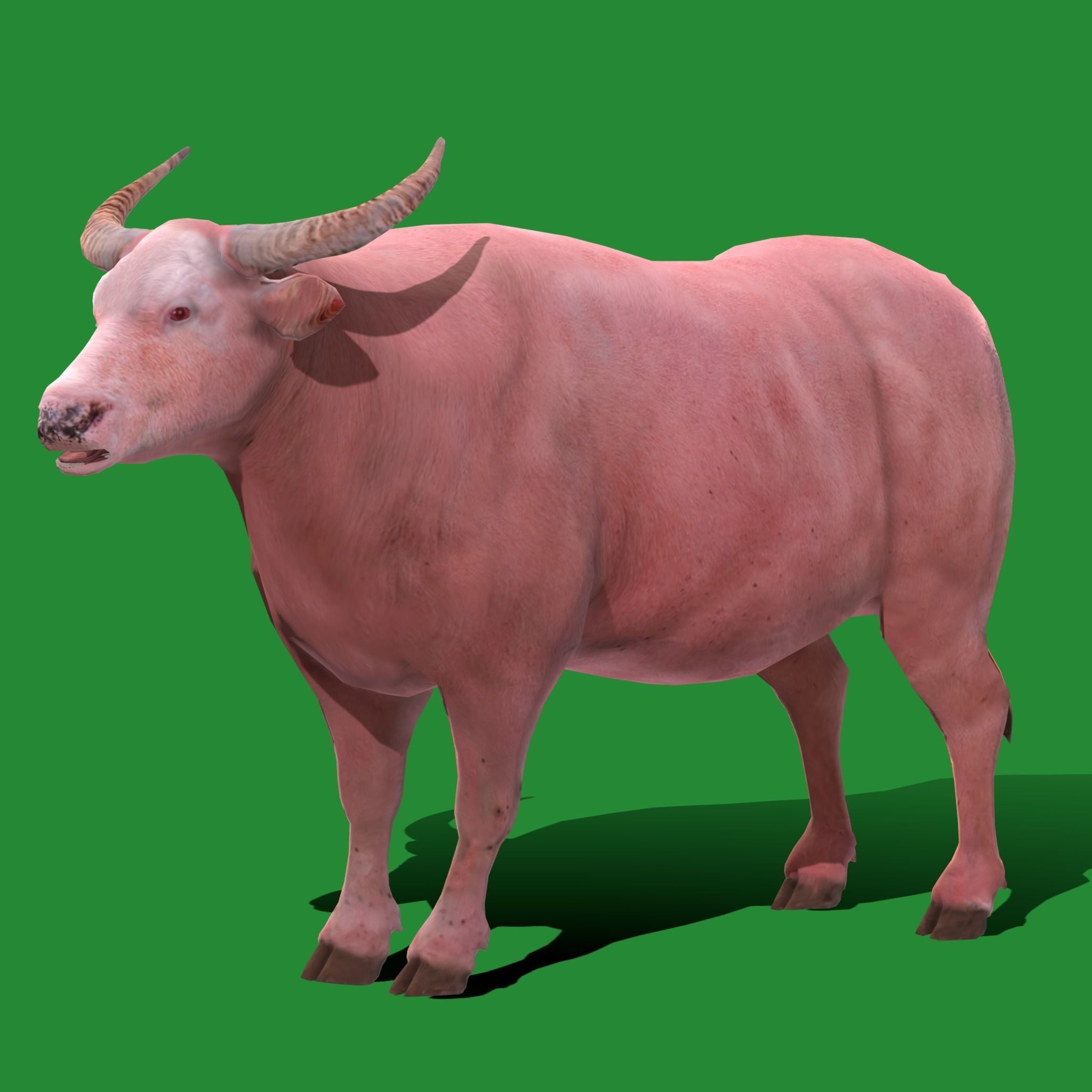 3D model Domestic Water Buffalo VR / AR / low-poly rigged animated ...