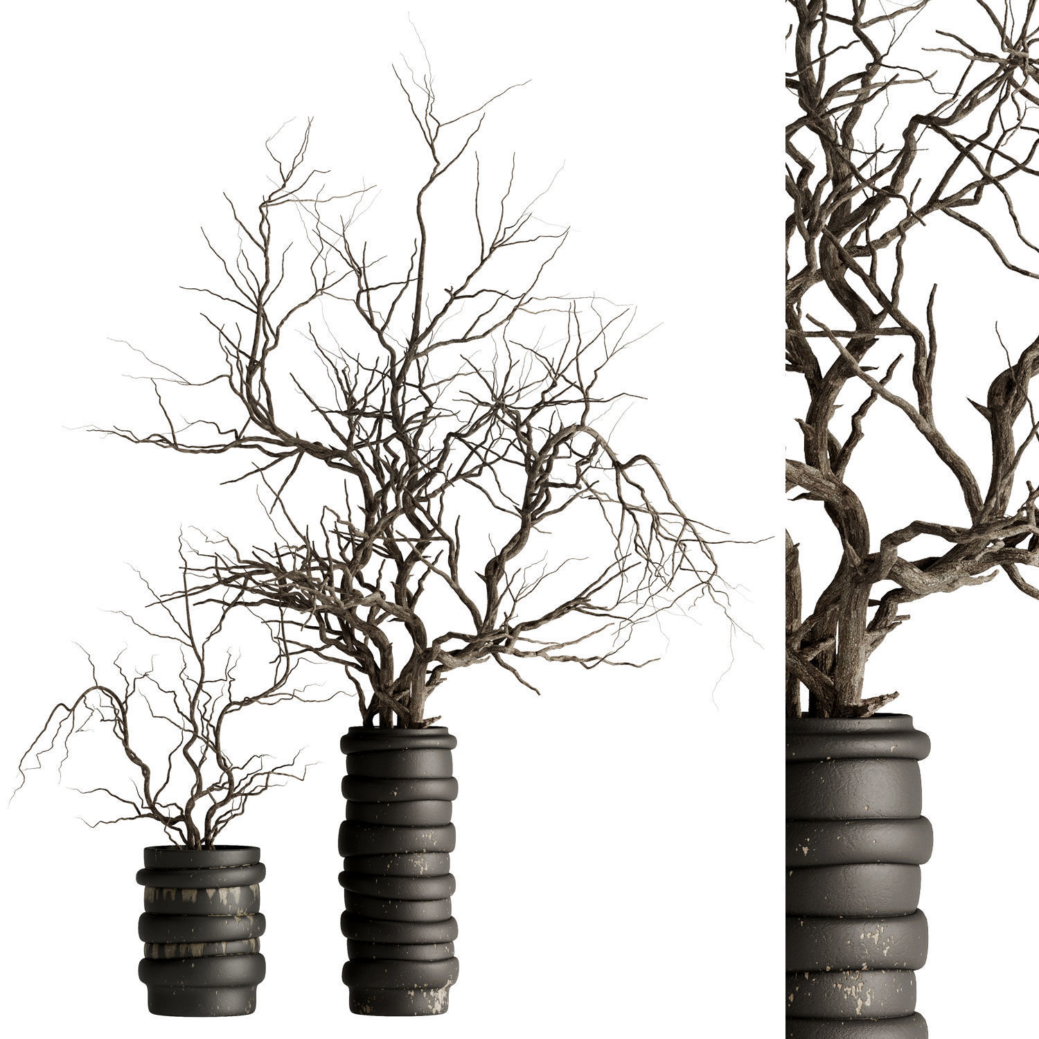 3D model Stems and Branches VR / AR / low-poly | CGTrader