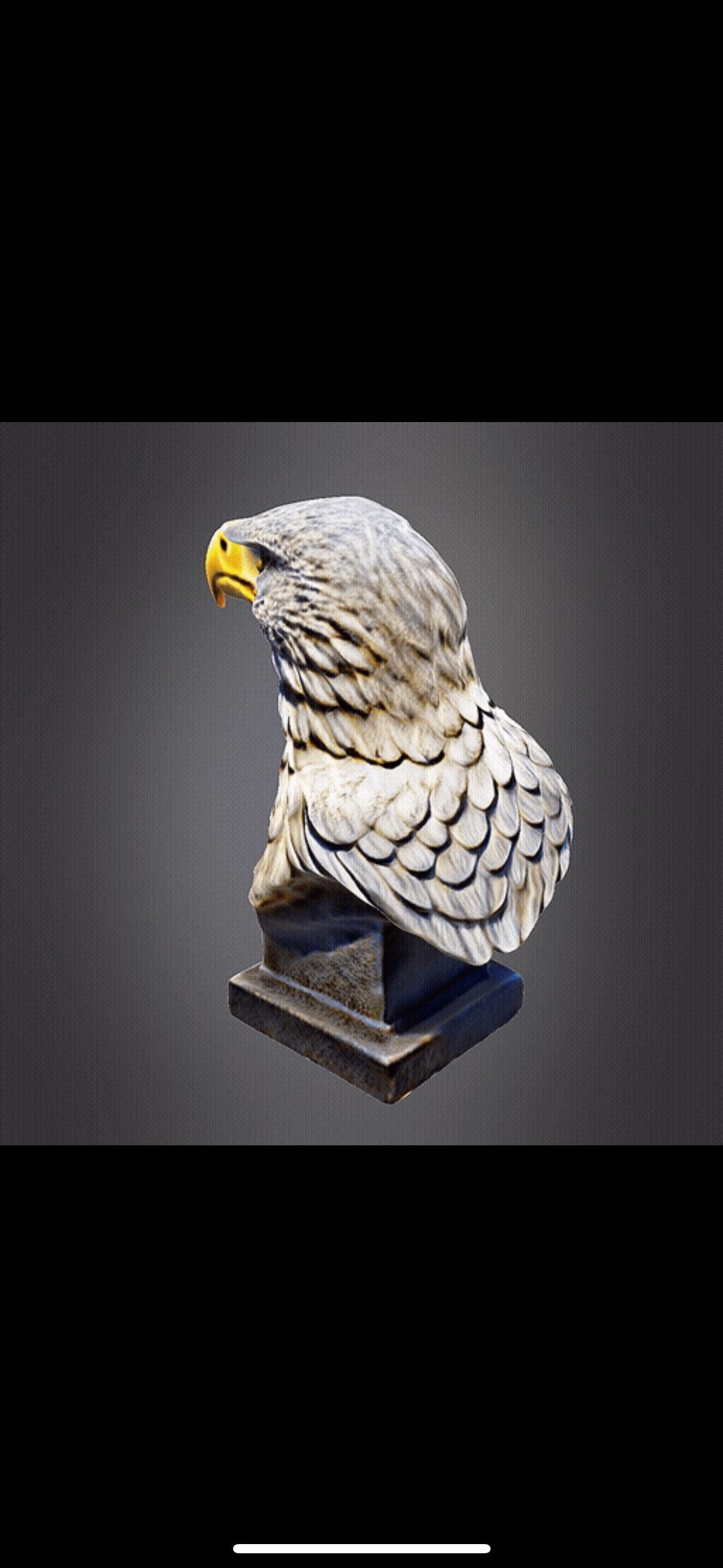 American eagle bust 3D model 3D printable | CGTrader