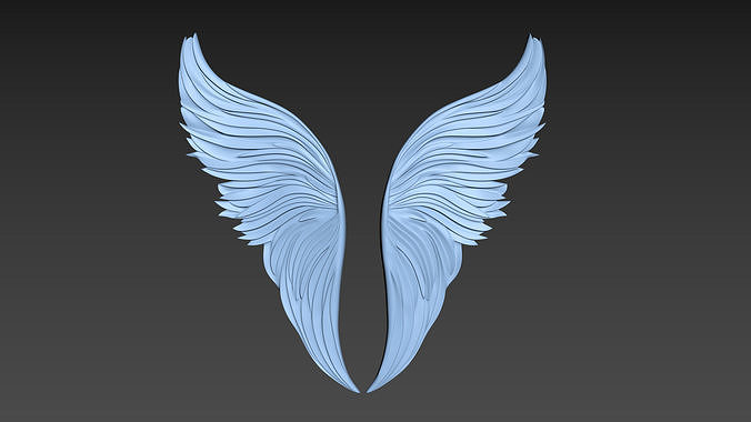 Wings 3D model 3D printable | CGTrader