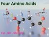 3D molecular model of amino acids 3D model rigged | CGTrader
