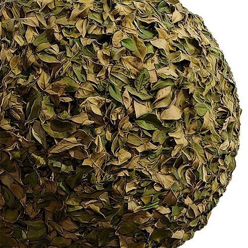 Ground Seamless Texture 2K - EXR 5 - JPG 5 Texture Texture | CGTrader