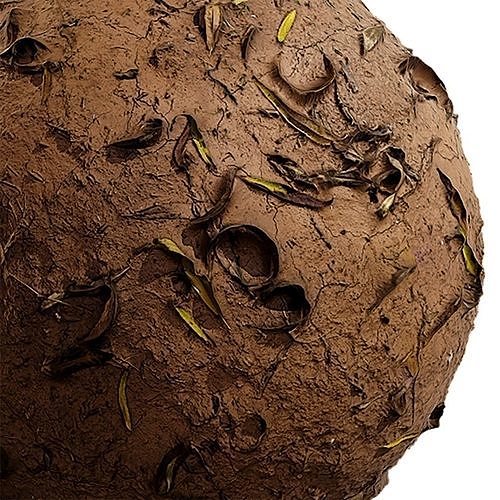 Ground Seamless Texture 2K - EXR 5 - JPG 5 Texture Texture | CGTrader