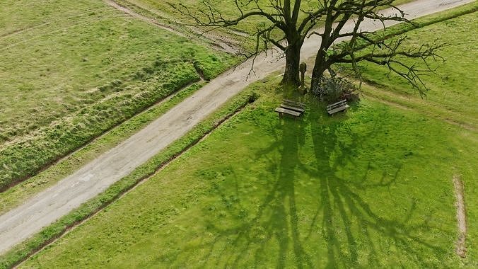 Grass path - 3D Scan EXTREM performance friendly 3D model | CGTrader