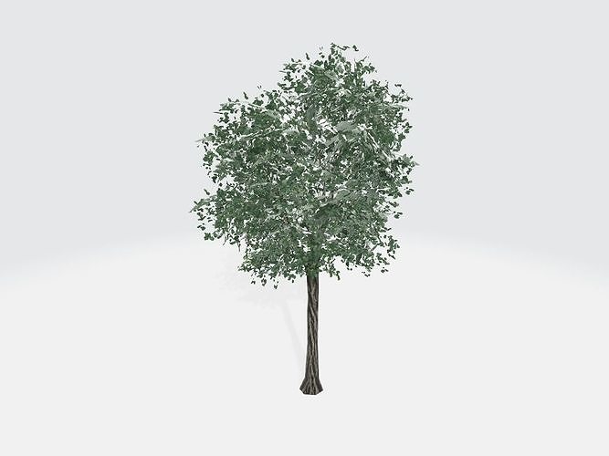 single tree free VR / AR / low-poly 3D model | CGTrader