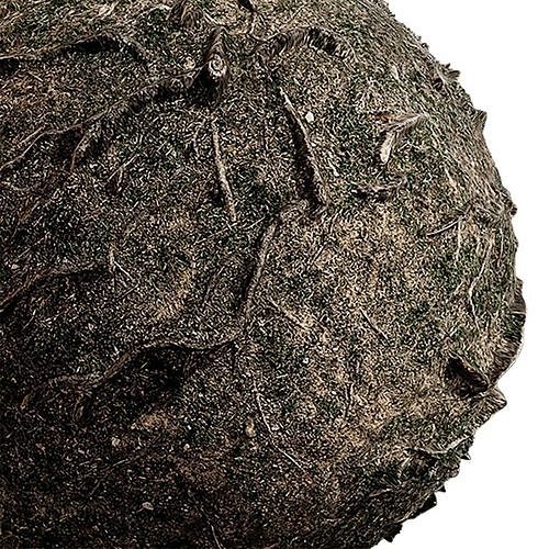 Ground Seamless Texture 2K - EXR 5 - JPG 5 Texture Texture | CGTrader