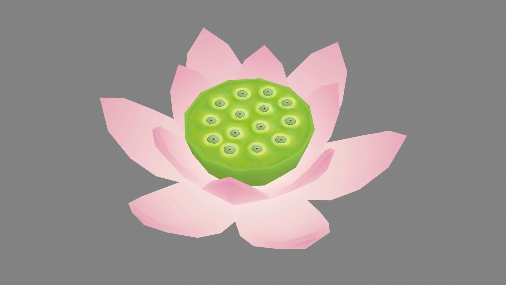 3D model A pink lotus - Cartoon lotus - Open stamens VR / AR / low-poly ...