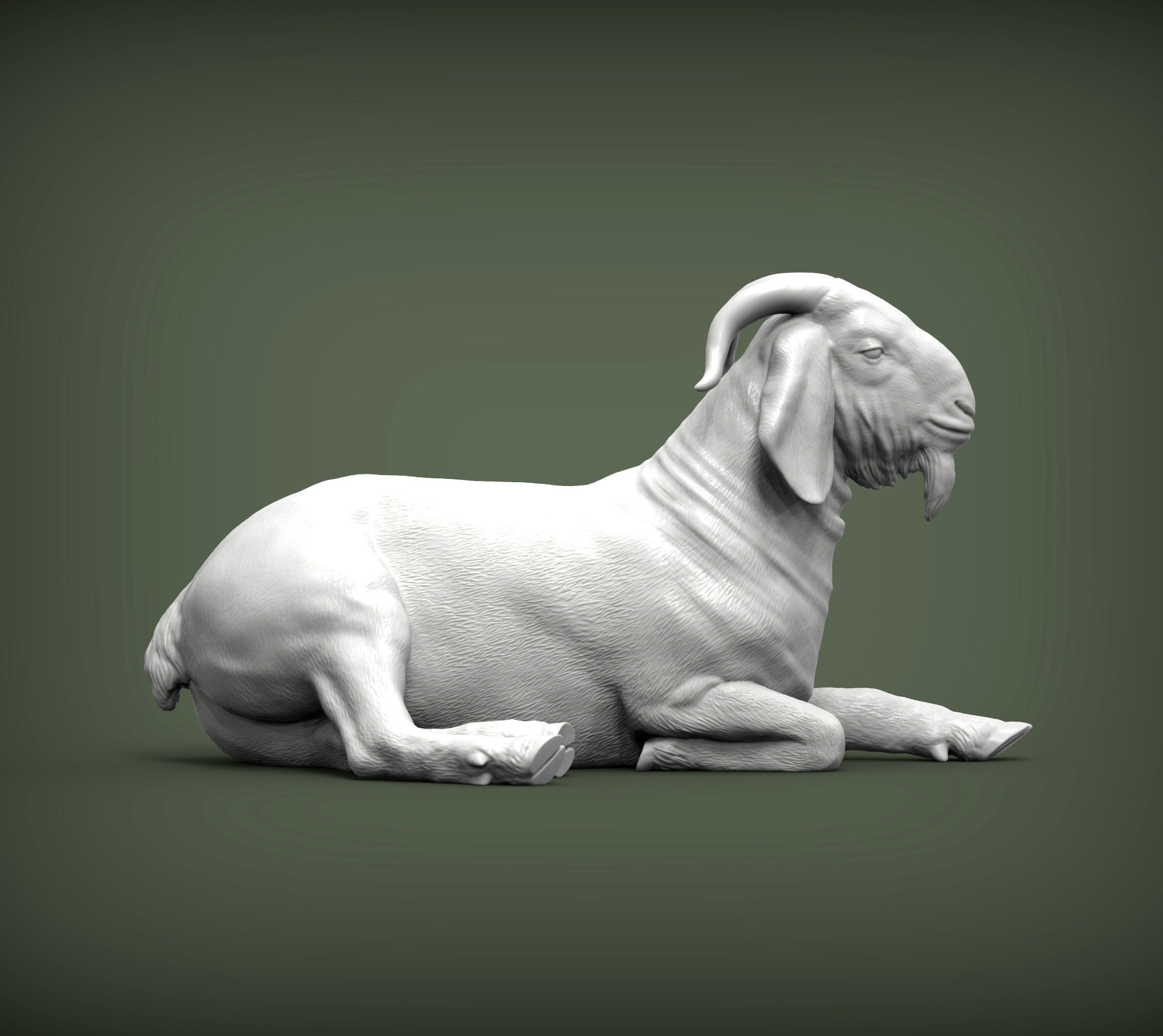 Boer Goats male lying down 3D model 3D printable | CGTrader
