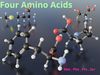 3D molecular model of amino acids 3D model rigged | CGTrader