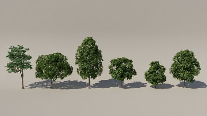 Set Trees free 3D model | CGTrader
