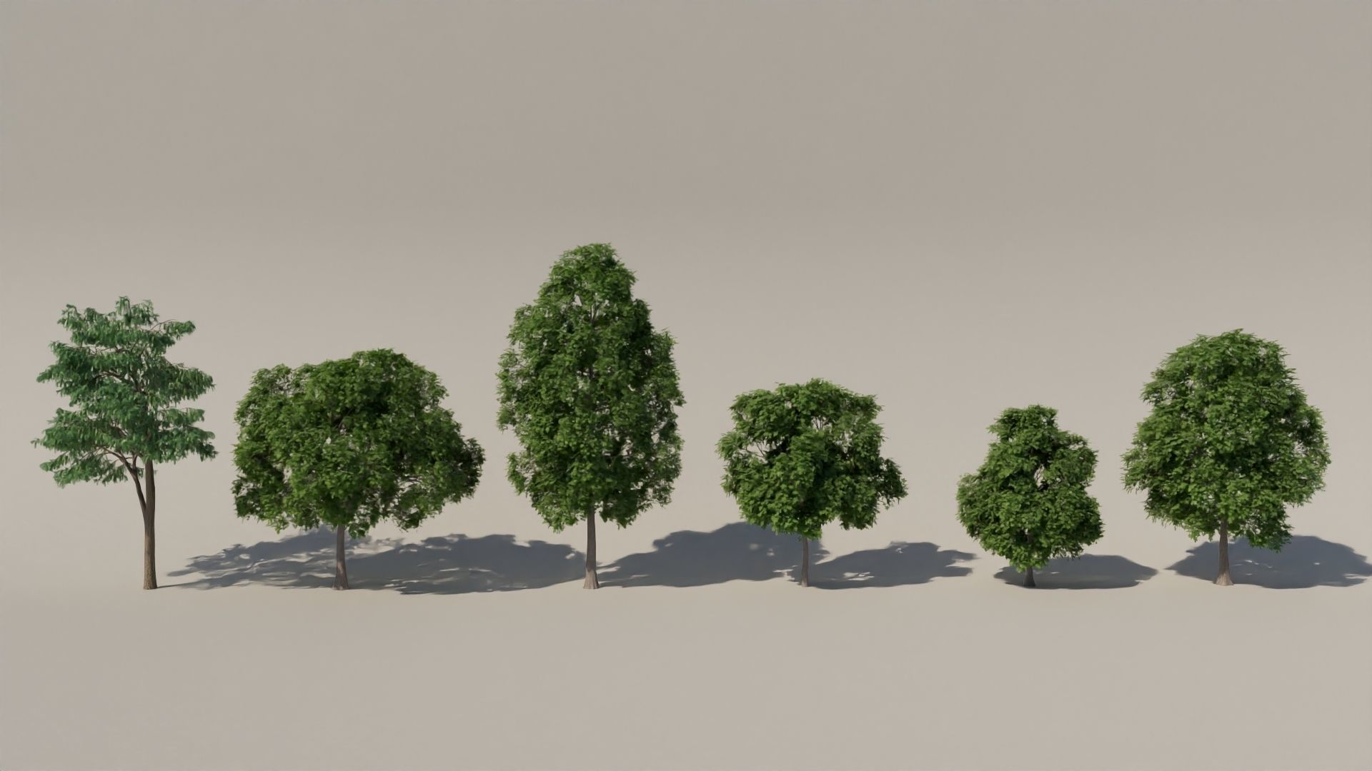 Set Trees free 3D model | CGTrader