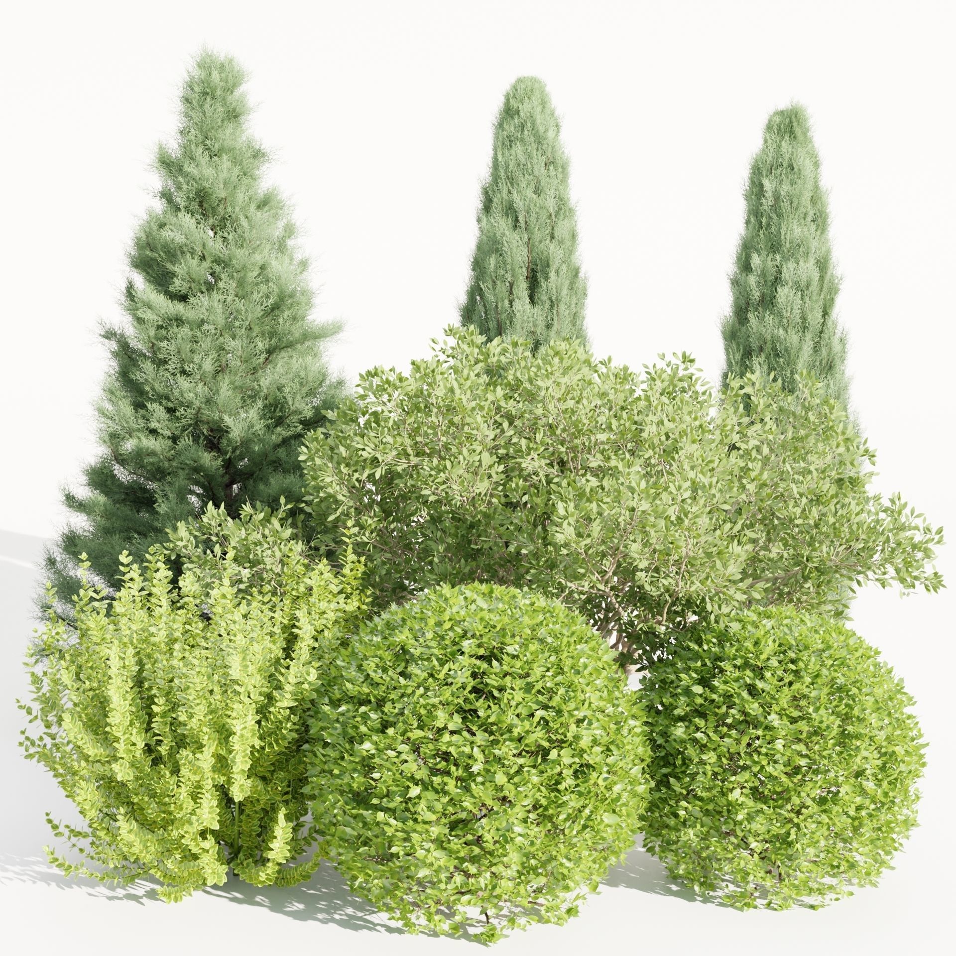 Plants for outdoor collection vol 231-Blender 3D model | CGTrader