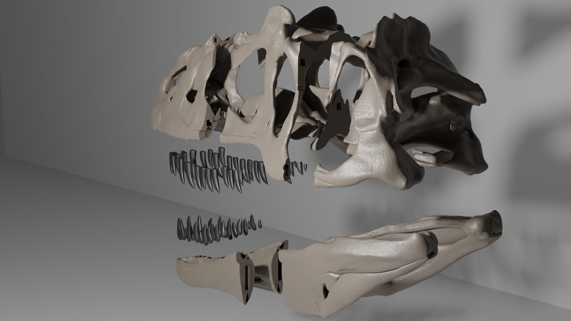 Allosaurus Skull 3d print Model 34 CM 3D model 3D printable | CGTrader