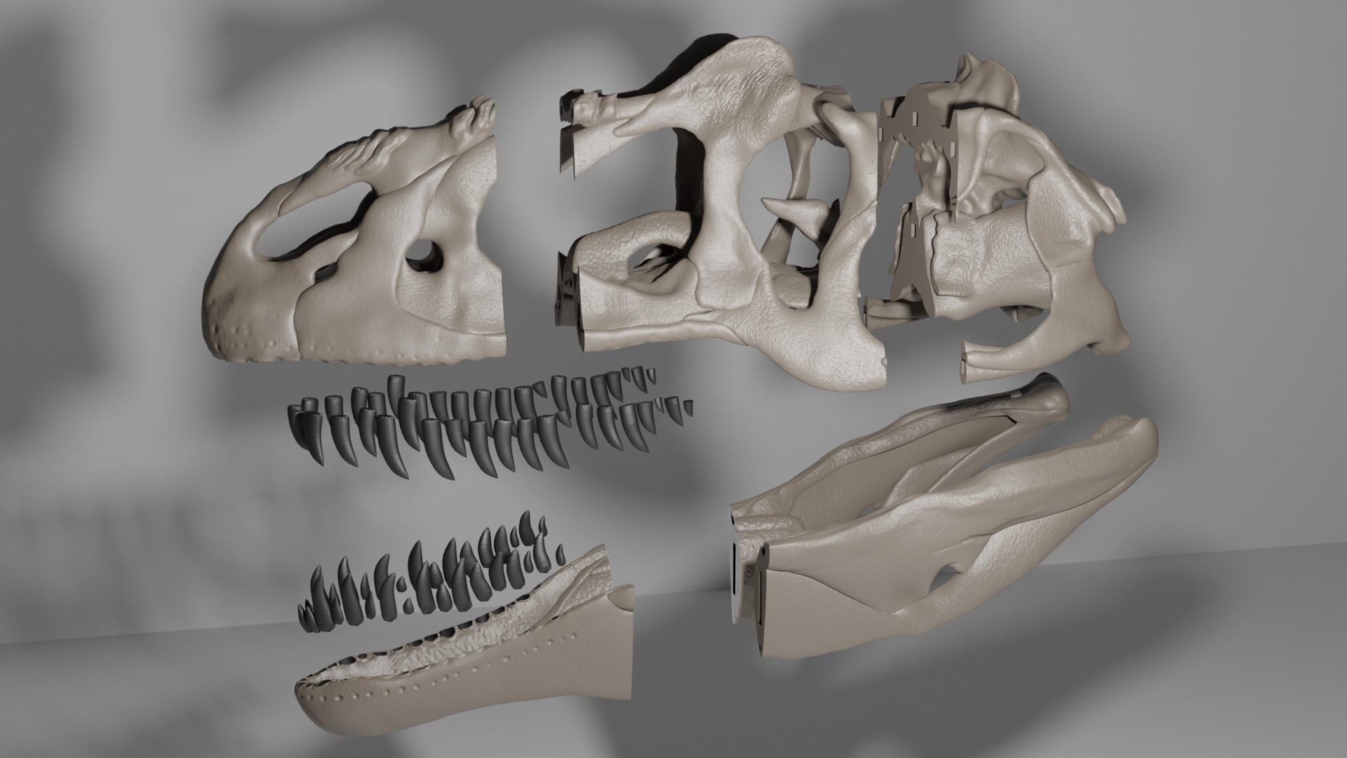 Allosaurus Skull 3d print Model 34 CM 3D model 3D printable | CGTrader