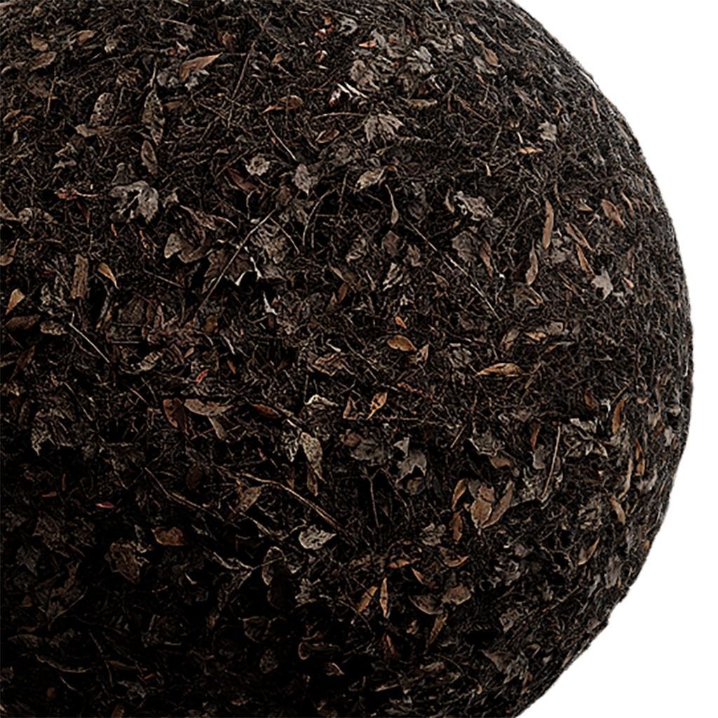 Ground Seamless Texture 2K - EXR 5 - JPG 5 Texture Texture | CGTrader