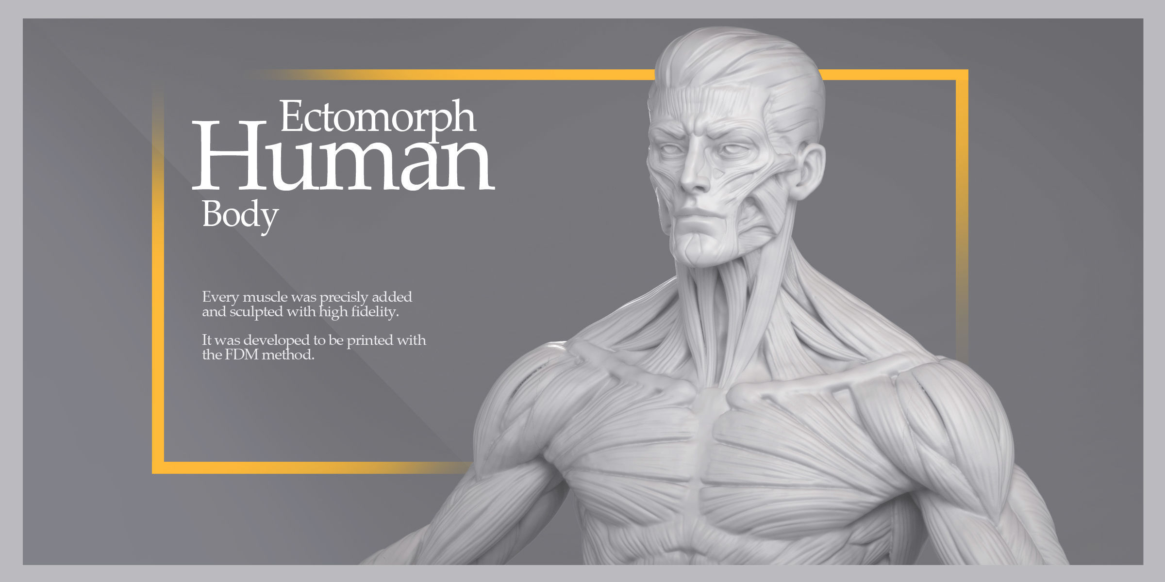 Ectomorph Human Body - STL 3D model 3D printable | CGTrader