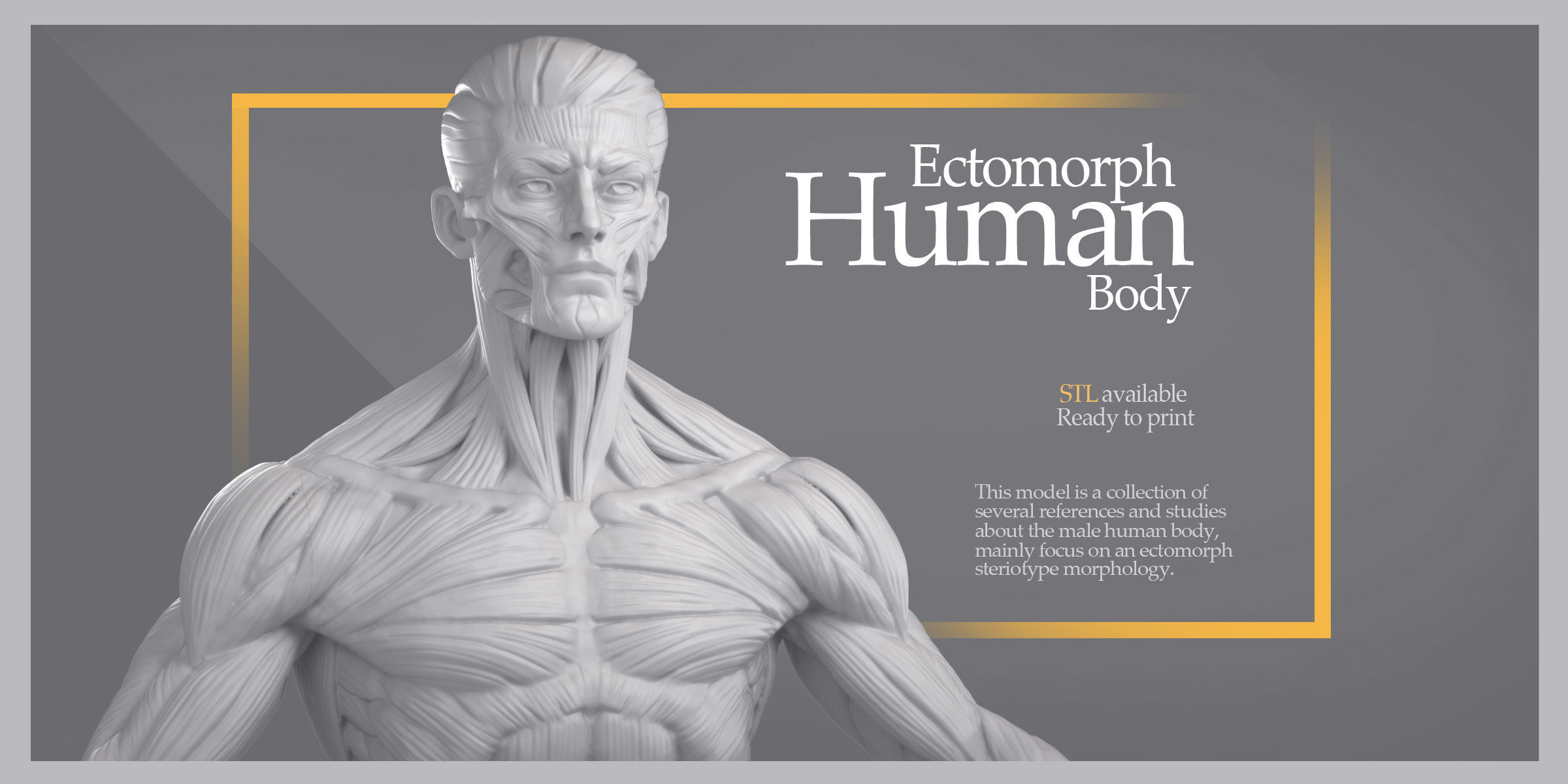Ectomorph Human Body - STL 3D model 3D printable | CGTrader