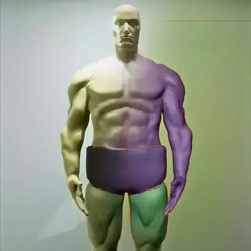 Free Rigged Anatomy Male Model for Animation free VR / AR / low-poly 3D ...