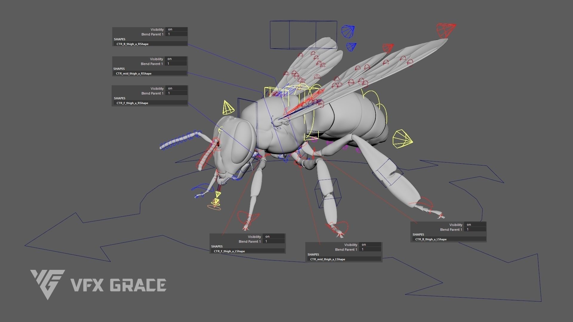 Honey bee Rig - MAYA 3D model rigged | CGTrader