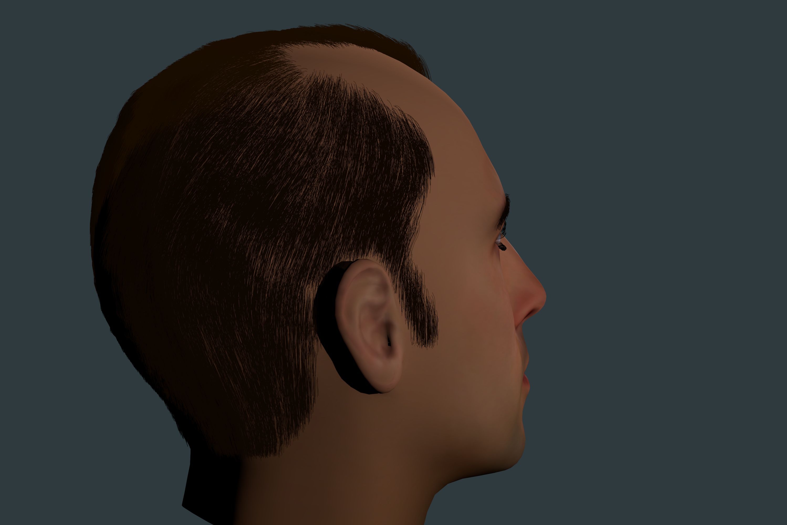 3D model of Nicolas Cage with hair 3D model | CGTrader