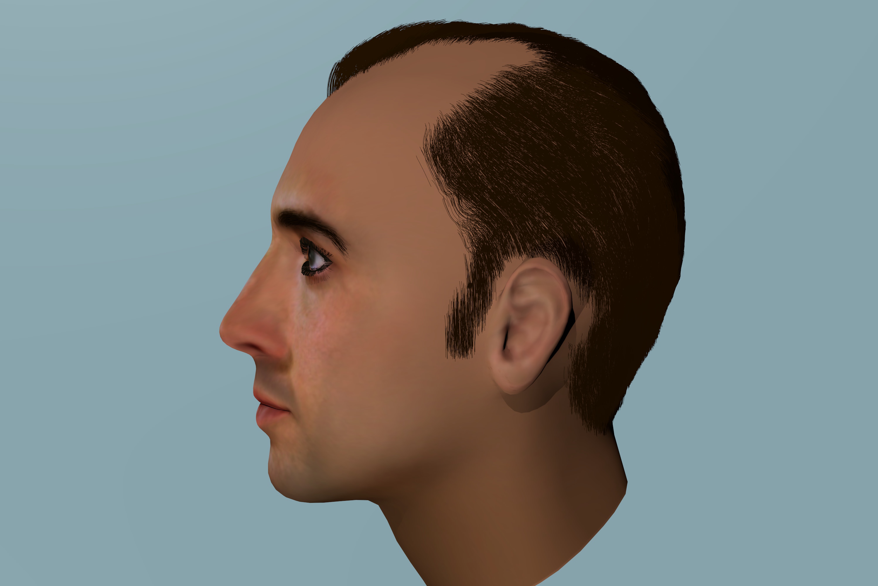 3D model of Nicolas Cage with hair 3D model | CGTrader