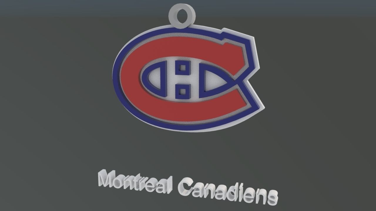 NHL All logo teams Printable and Renderable 3D model 3D printable ...