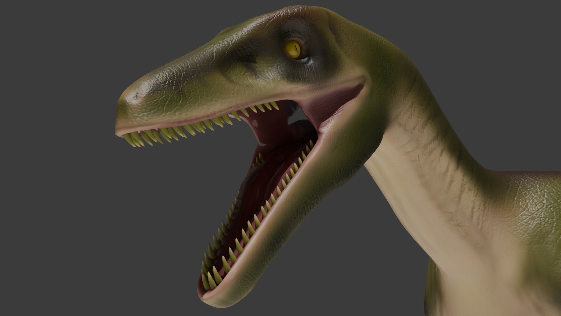 Raptor 3D Model Fully Rigged free VR / AR / low-poly 3D model animated ...