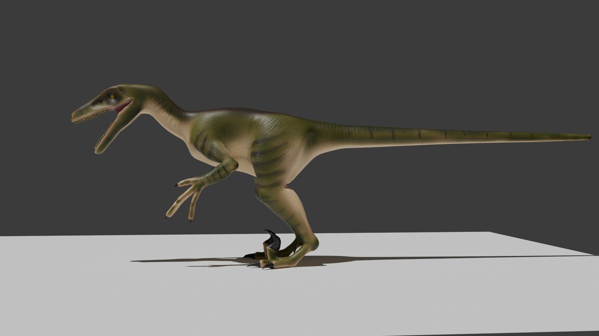 Raptor 3D Model Fully Rigged free VR / AR / low-poly 3D model animated ...