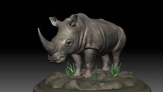 Asian Rhino Rhinoceros 3D print model 3D model 3D printable | CGTrader