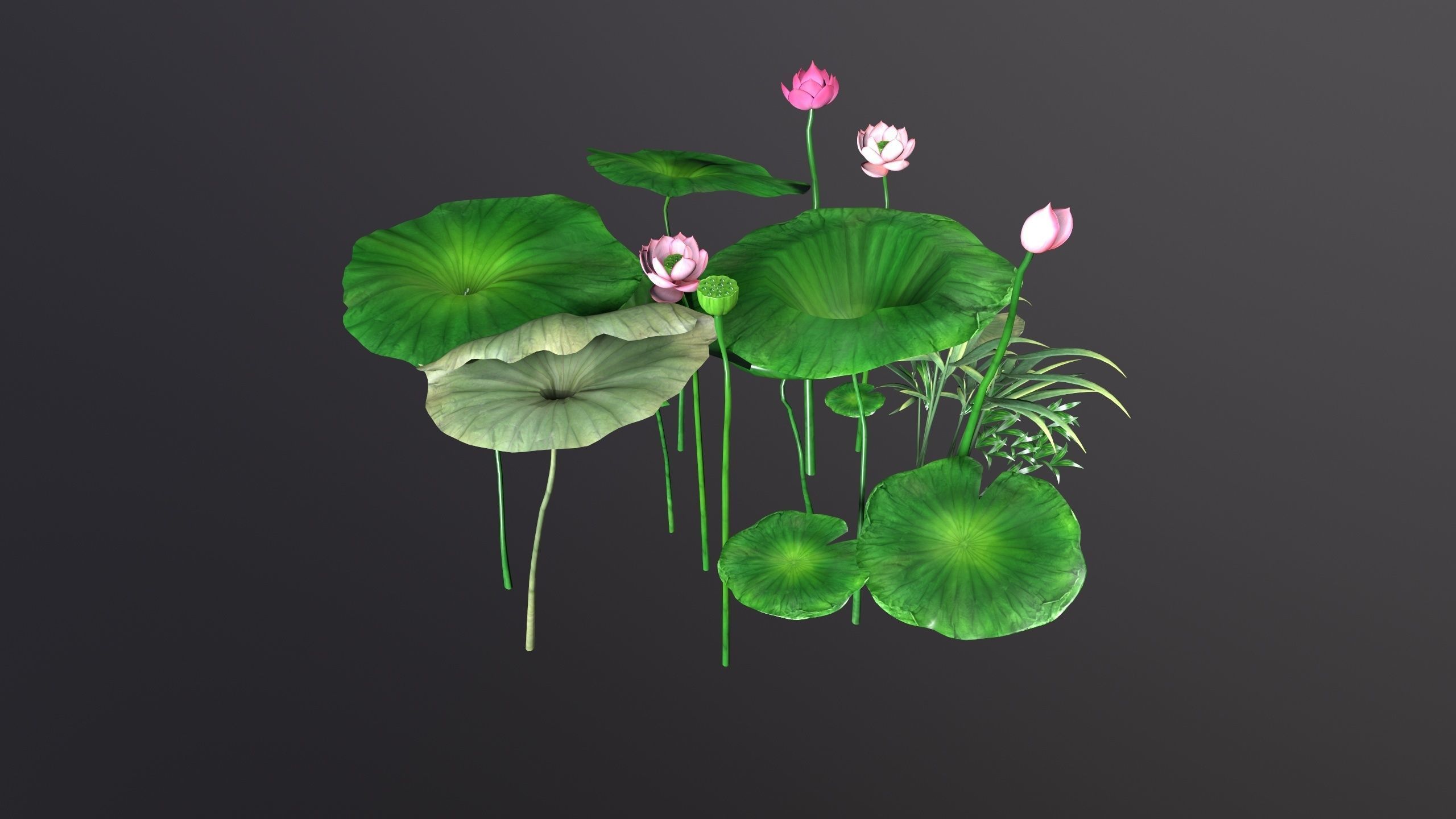 3D model lotus VR / AR / low-poly rigged animated | CGTrader
