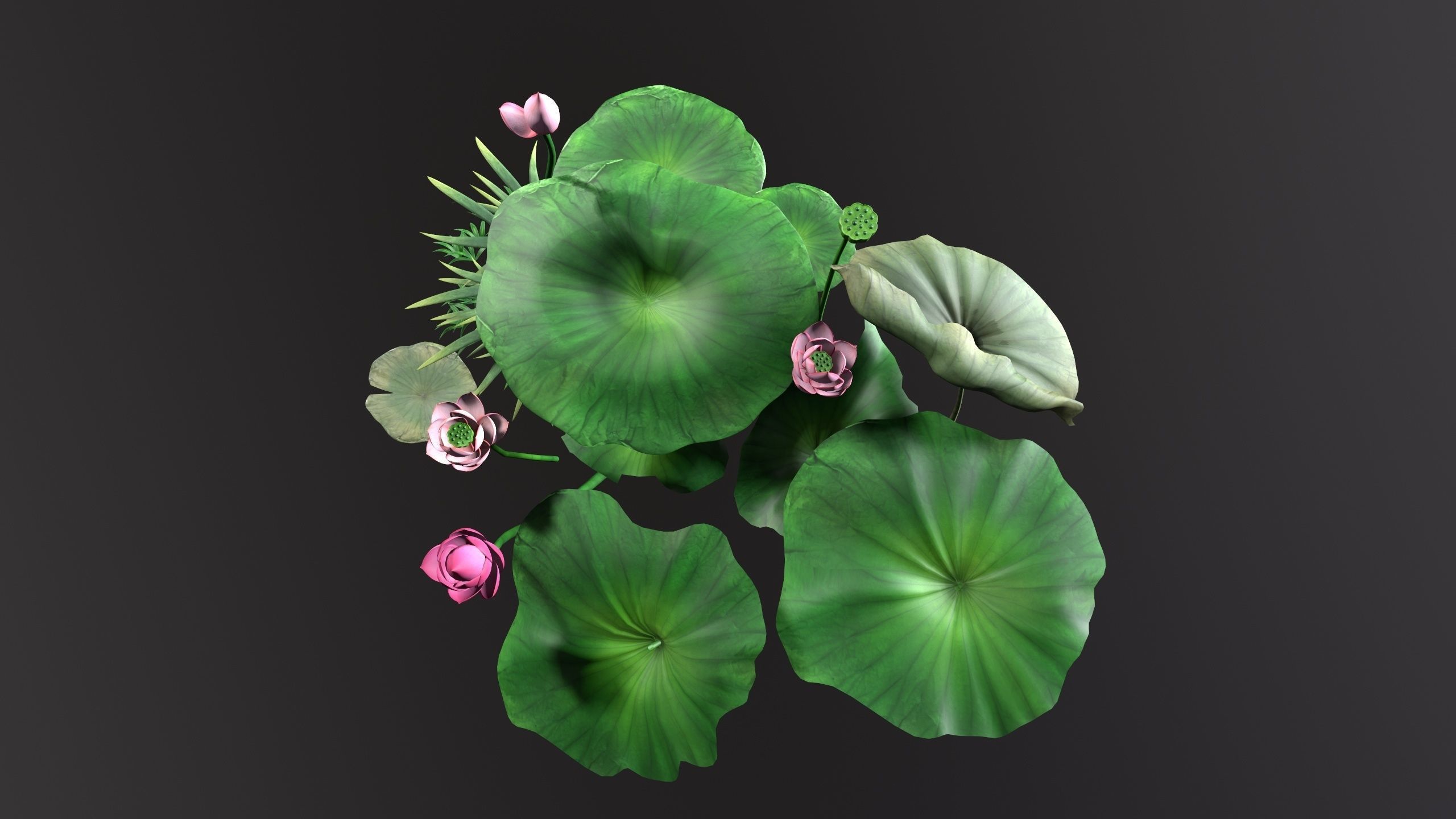 3D model lotus VR / AR / low-poly rigged animated | CGTrader