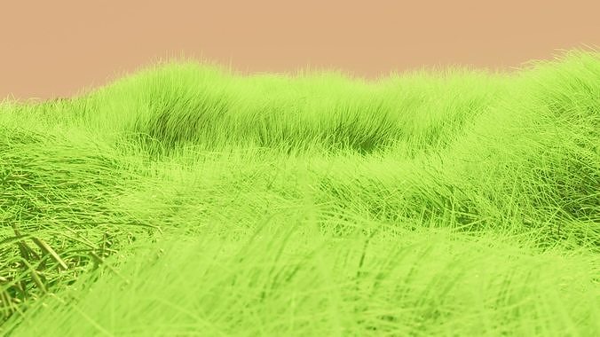 Fluffy grass free 3D model | CGTrader