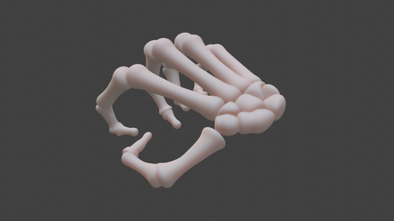 skeleton hand anatomy rigged 3D 2024 3D model rigged | CGTrader