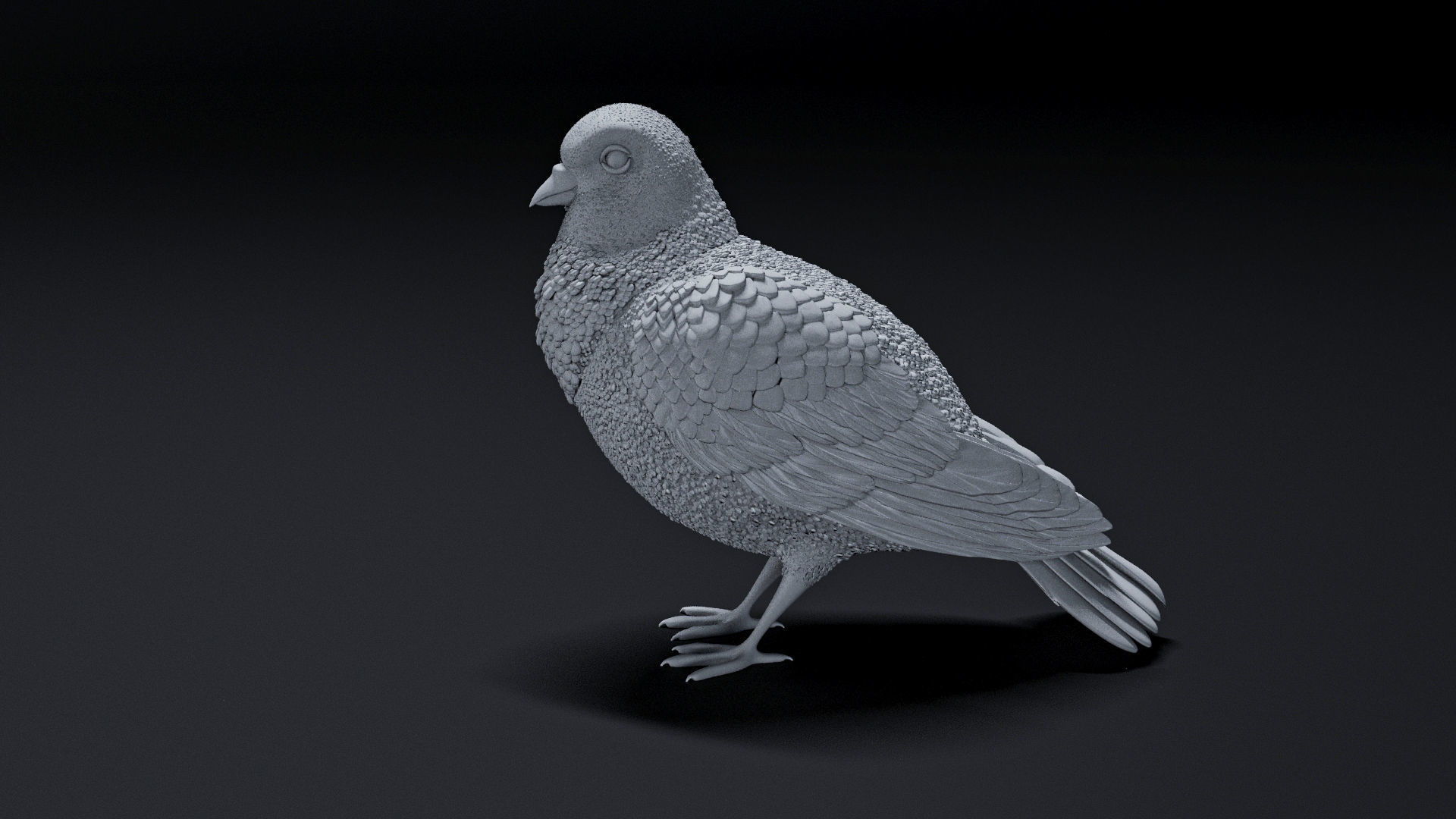 dove bird 3D model 3D printable | CGTrader